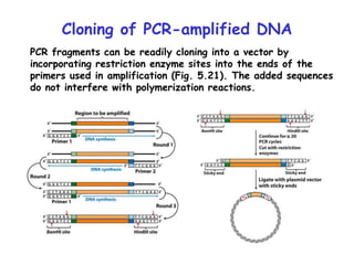 molecular genome technology powerpoint slides | PPT