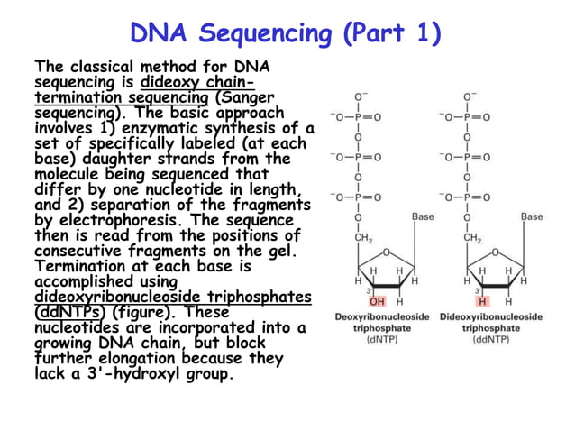 molecular genome technology powerpoint slides | PPT