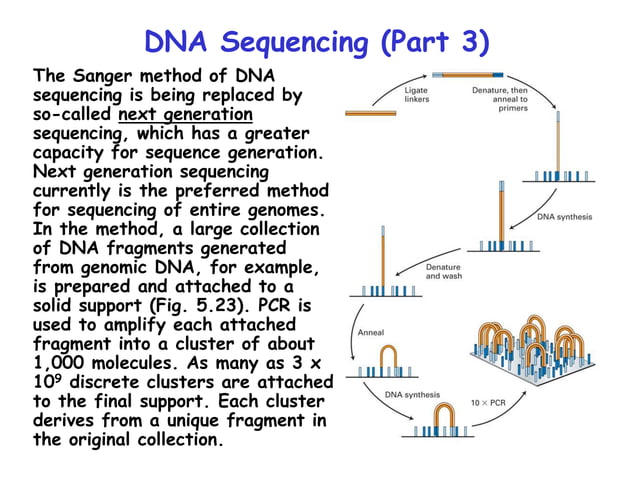molecular genome technology powerpoint slides | PPT