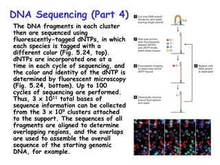 molecular genome technology powerpoint slides | PPT