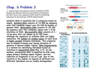 Genes, Genomics, and Chromosomes computational biology introduction .ppt