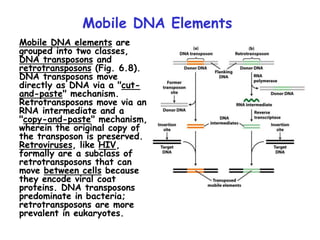 Genes, Genomics, and Chromosomes computational biology introduction .ppt
