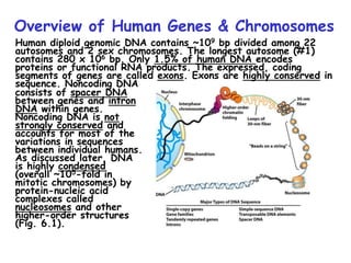Genes, Genomics, and Chromosomes computational biology introduction .ppt