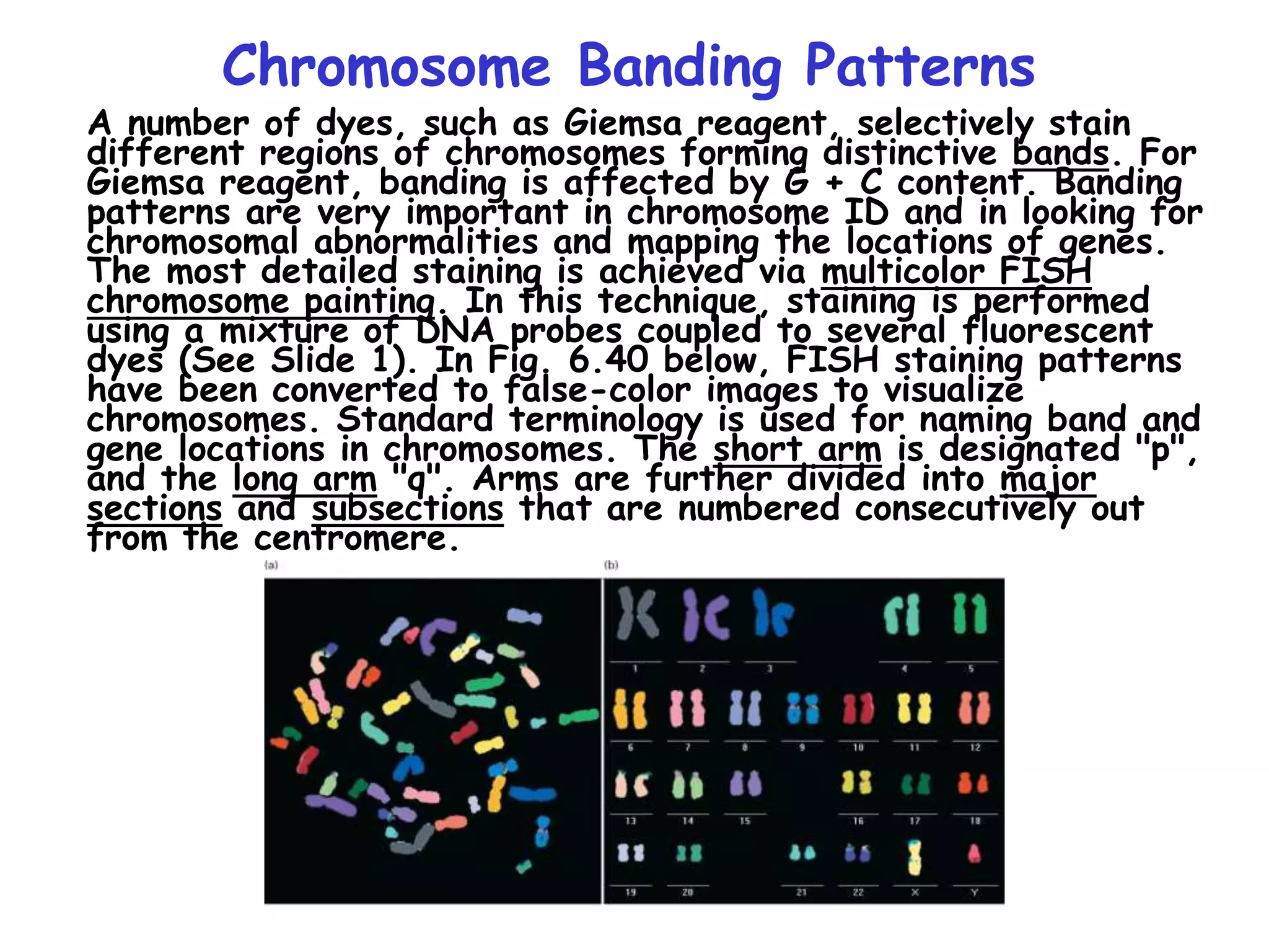 13-miller-chap-6b-lecture.ppt