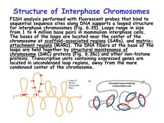 13-miller-chap-6b-lecture.ppt