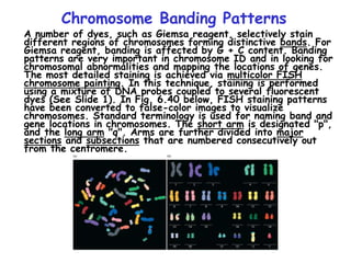 13-miller-chap-6b-lecture.ppt