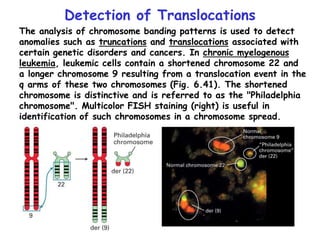 13-miller-chap-6b-lecture.ppt