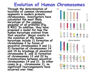 13-miller-chap-6b-lecture.ppt