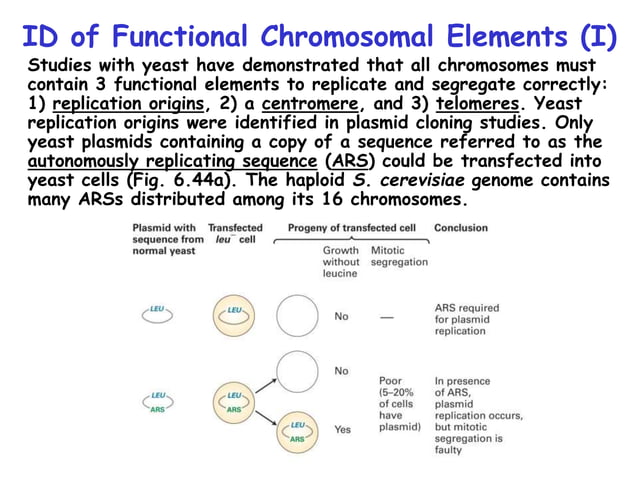 13-miller-chap-6b-lecture.ppt