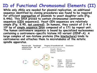 13-miller-chap-6b-lecture.ppt