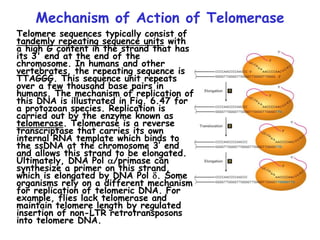 13-miller-chap-6b-lecture.ppt