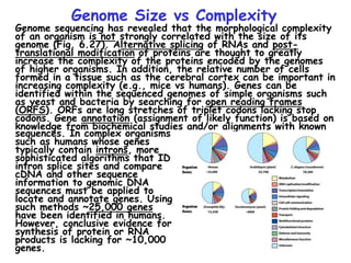13-miller-chap-6b-lecture.ppt