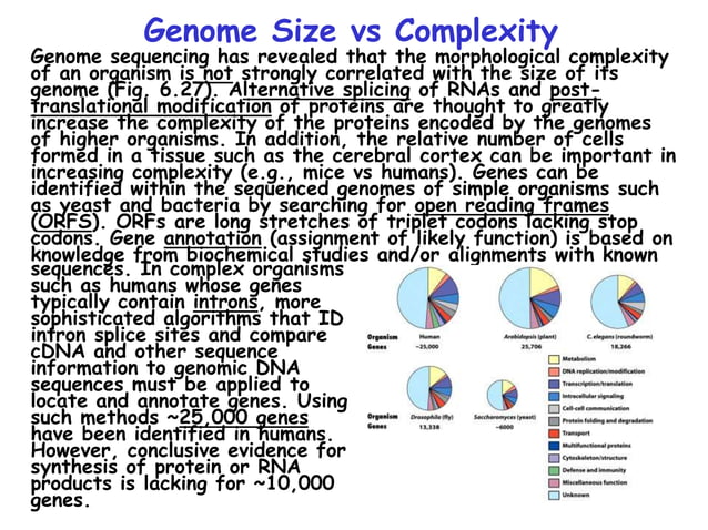 13-miller-chap-6b-lecture.ppt