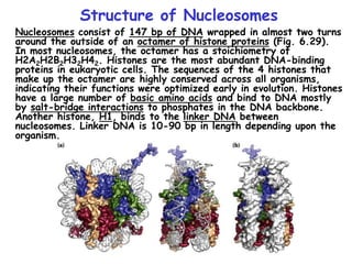 13-miller-chap-6b-lecture.ppt