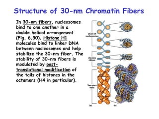 13-miller-chap-6b-lecture.ppt
