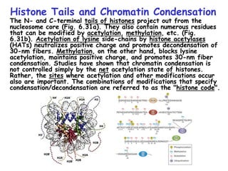 13-miller-chap-6b-lecture.ppt