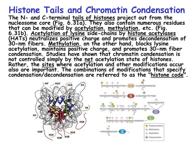 13-miller-chap-6b-lecture.ppt