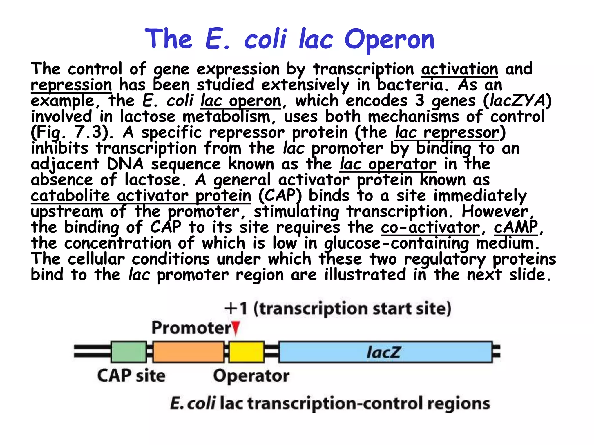 13-miller-chap-7a-lecture.ppt