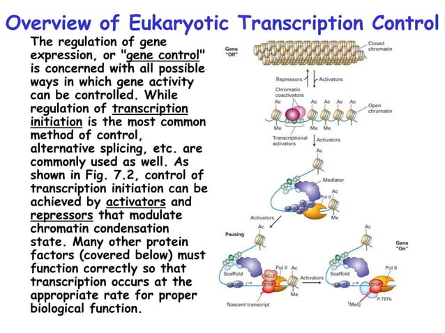 13-miller-chap-7a-lecture.ppt