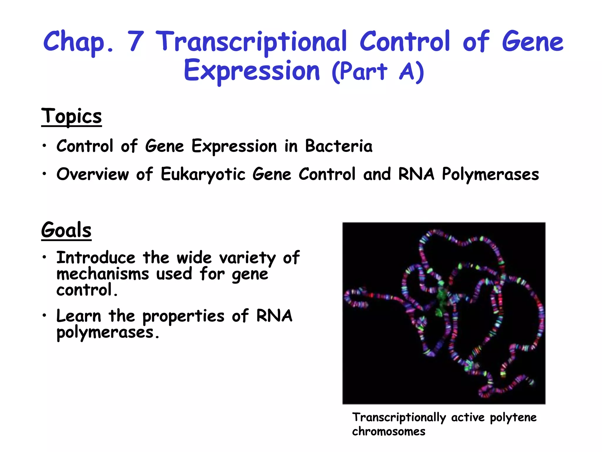 13-miller-chap-7a-lecture (1).ppt