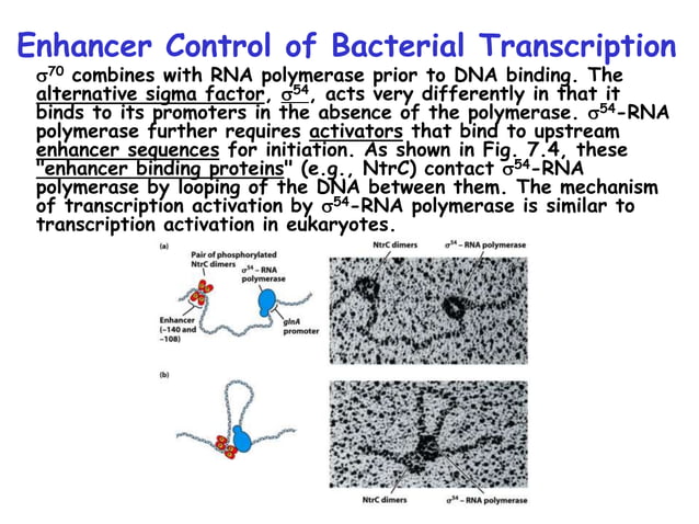 13-miller-chap-7a-lecture (1).ppt
