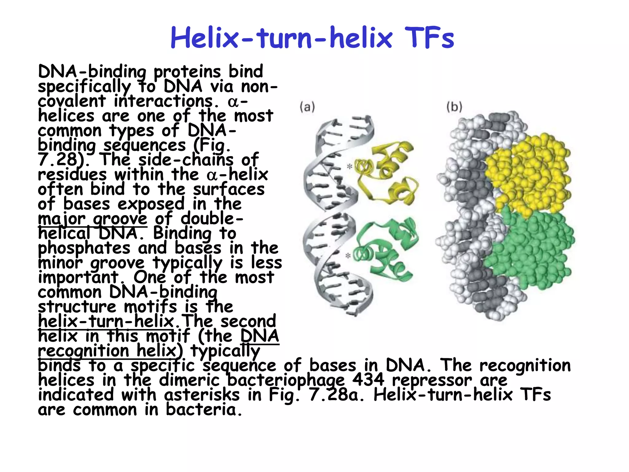 13-miller-chap-7b-lecture.ppt
