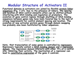 13-miller-chap-7b-lecture.ppt