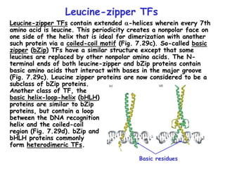 13-miller-chap-7b-lecture.ppt