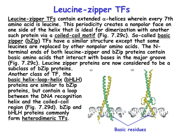 13-miller-chap-7b-lecture.ppt
