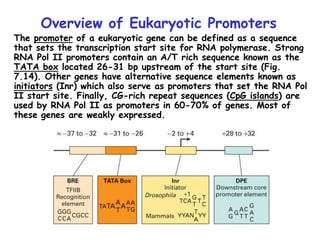 13-miller-chap-7b-lecture.ppt
