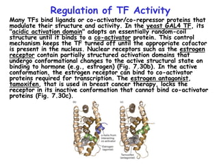 13-miller-chap-7b-lecture.ppt