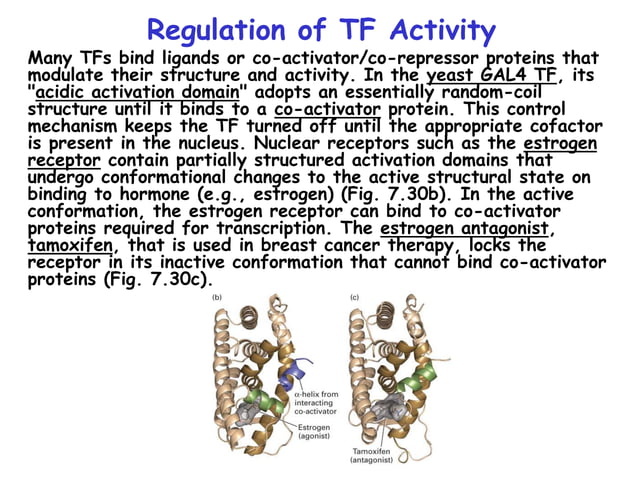 13-miller-chap-7b-lecture.ppt