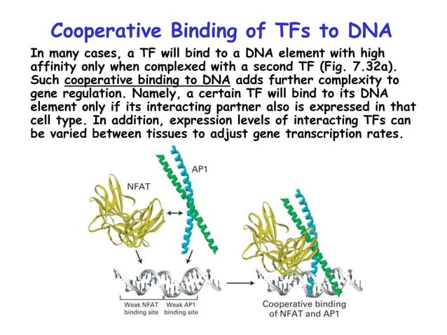 13-miller-chap-7b-lecture.ppt