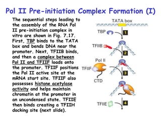 13-miller-chap-7b-lecture.ppt