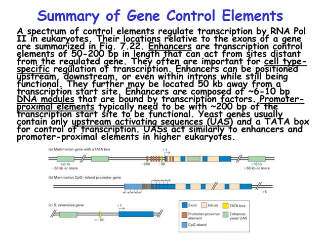 13-miller-chap-7b-lecture.ppt