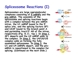 13-miller-chap-8-lecture (1).ppt