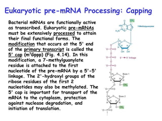 13-miller-chap-8-lecture (1).ppt