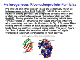 13-miller-chap-8-lecture (1).ppt