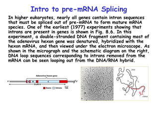13-miller-chap-8-lecture (1).ppt