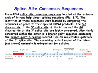 13-miller-chap-8-lecture (1).ppt