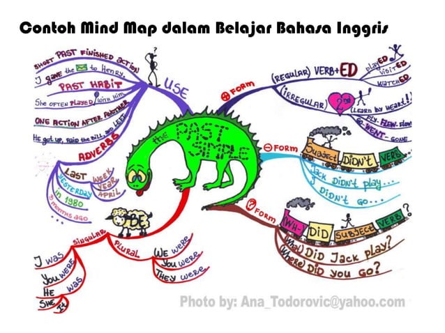 13 mind map rera | PPTX