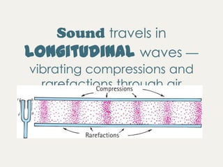 13 nature of-sound | PPTX