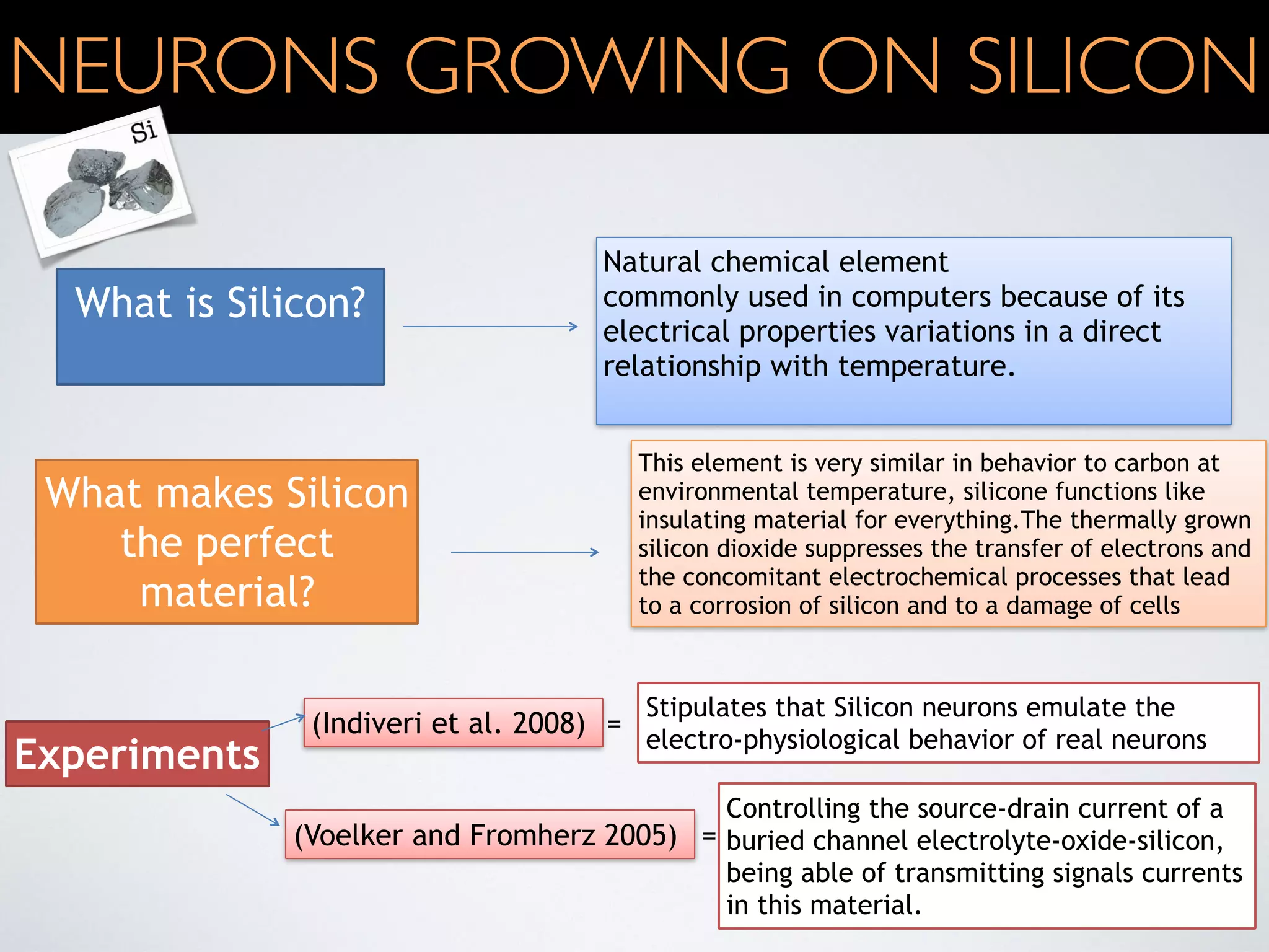 13 nicole neurons growing on silicon presentation | PDF