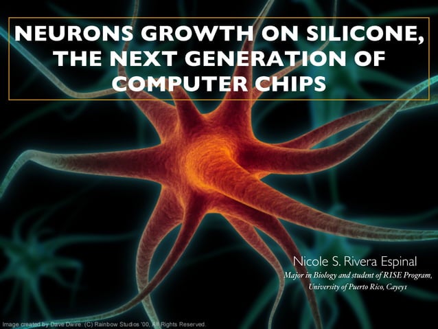 13 nicole neurons growing on silicon presentation | PDF | Brain and ...