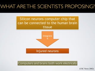 13 nicole neurons growing on silicon presentation | PDF