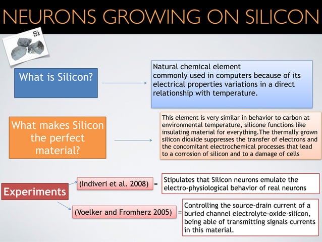 13 nicole neurons growing on silicon presentation | PDF | Brain and ...
