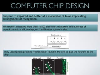 13 nicole neurons growing on silicon presentation | PDF