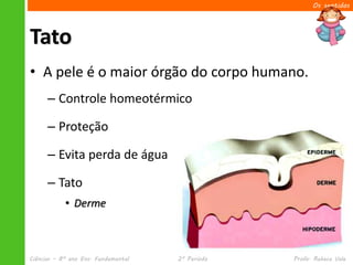 13 os sentidos | PDF