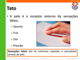 13 os sentidos | PDF