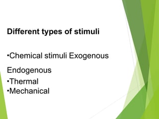 pain management | PPT